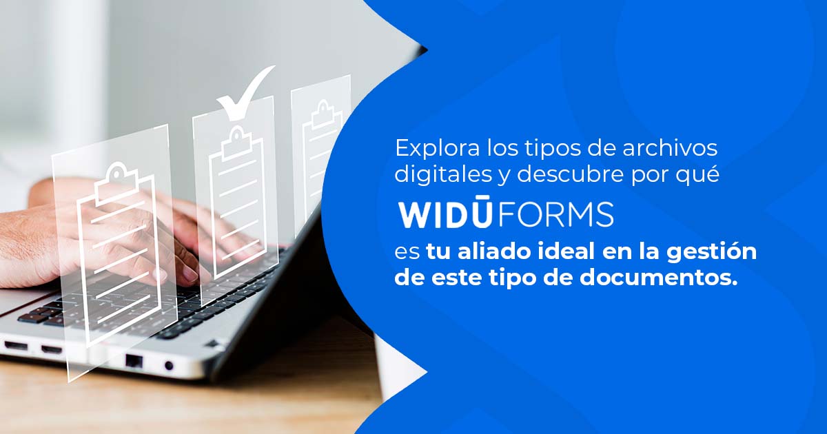 Tipos de archivos digitales | Widú Legal